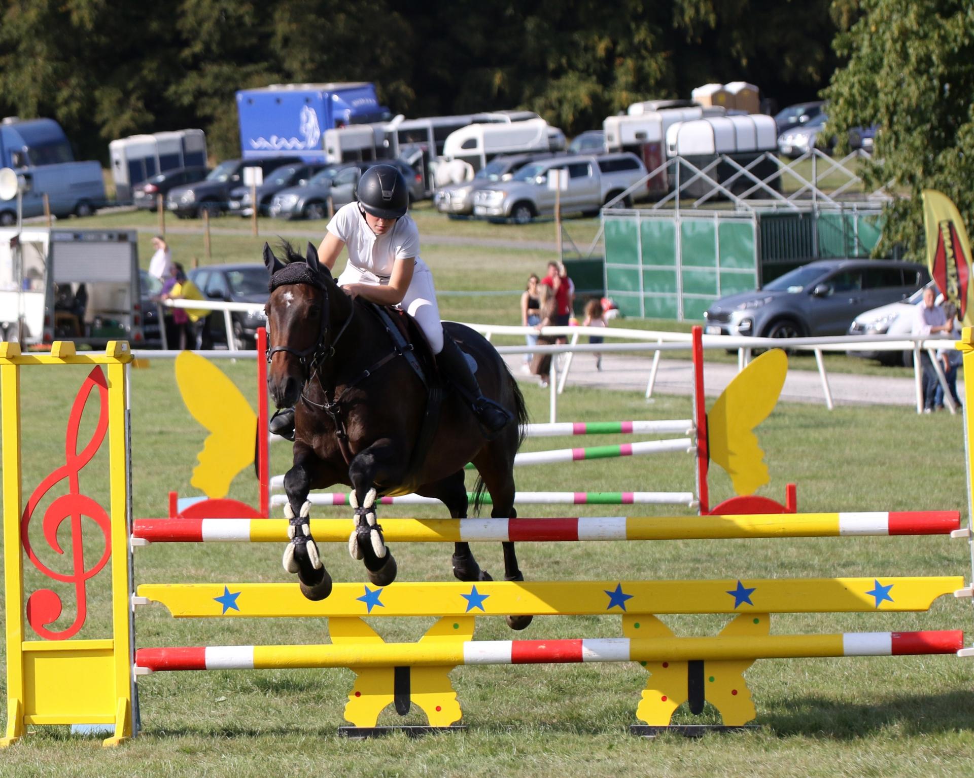 In Pictures: 30 photos from the 2022 Limerick Show - Page 1 of 30 ...
