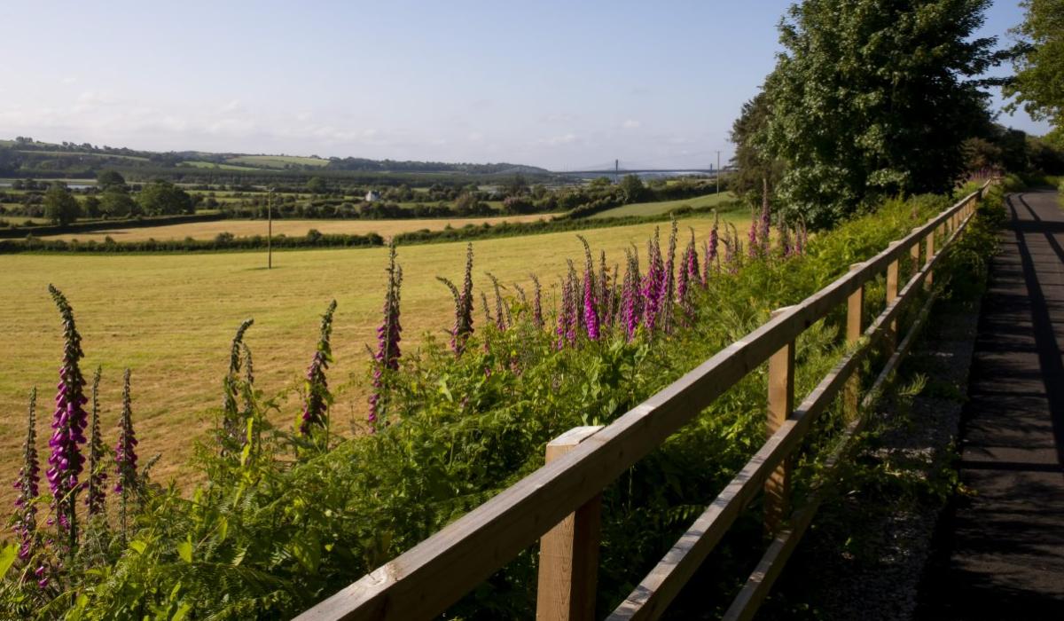 Lots of visitors enjoying phase one of the South-East Greenway in ...