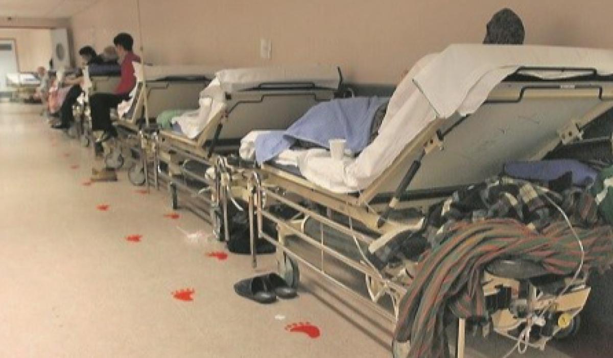 Pathfinder programme expands in Clare and across the Mid-West - Ireland ...