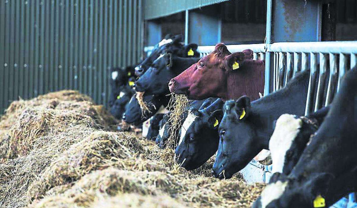 Department to hold series of in-person Farmer Clinics for BISS 2024 and ...