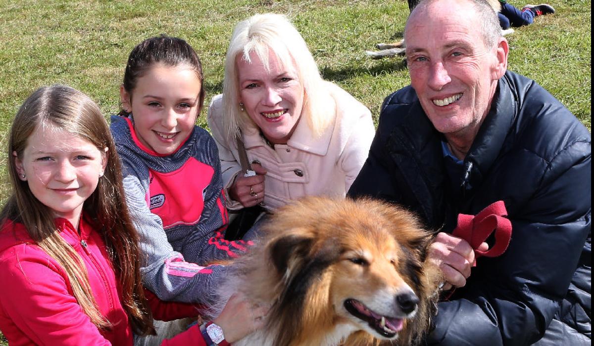 All roads lead to Laois for the Clonaslee Show - Ireland Live