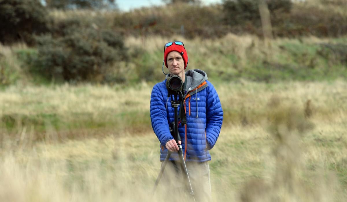 Laois wildlife expert selected as Offaly's first biodiversity officer ...