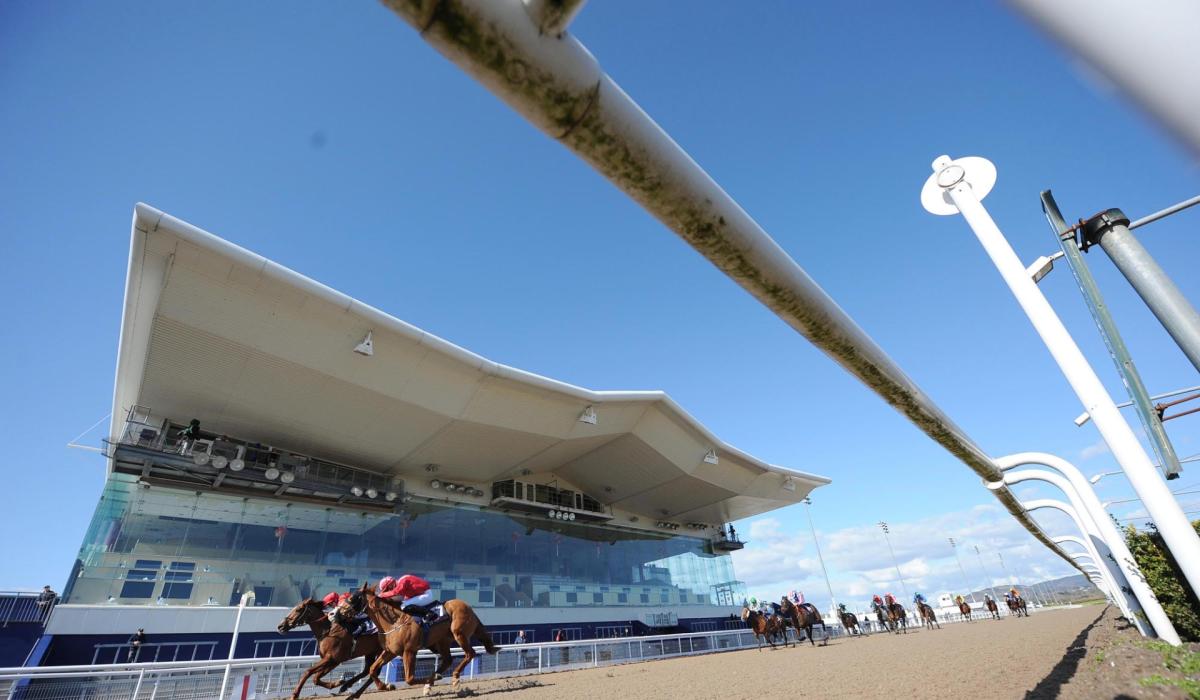 Race night in Dundalk Stadium in aid of SOSAD - Ireland Live