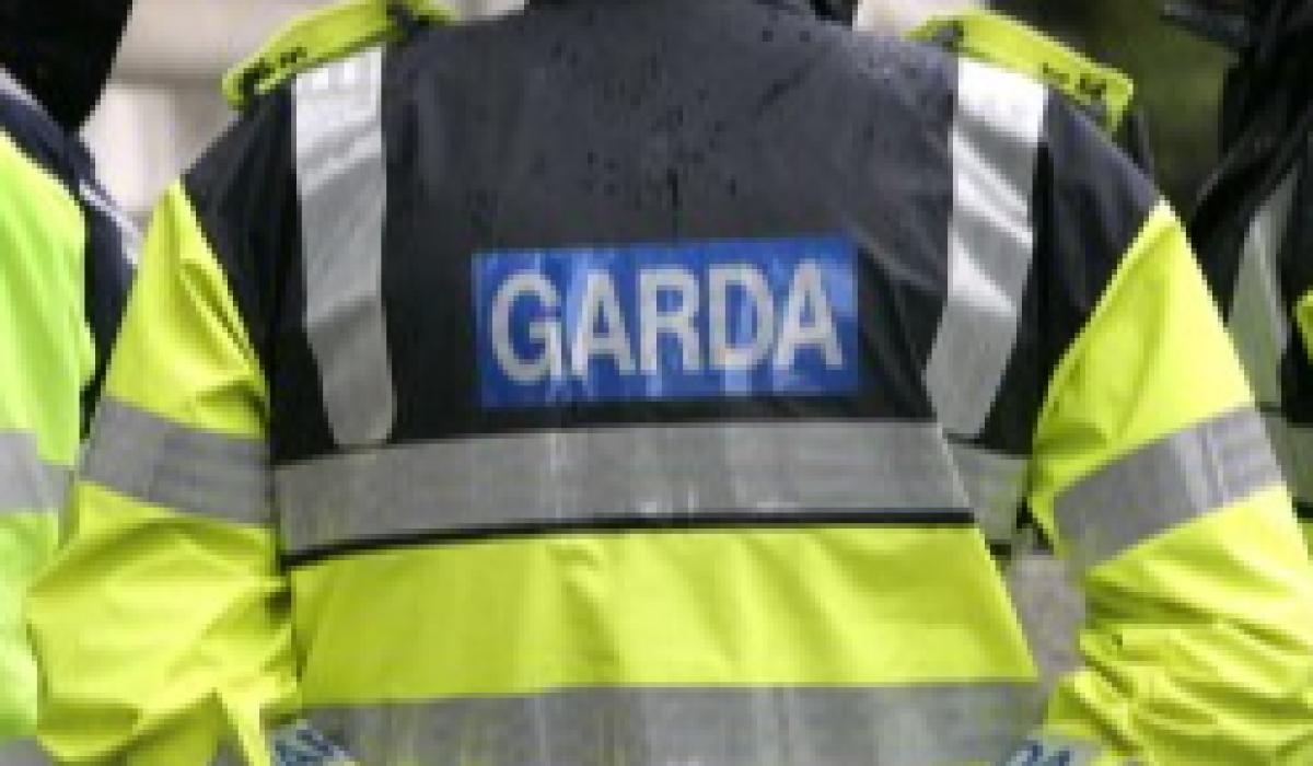 Cash, firearms and drugs seized as eight arrested in major garda ...