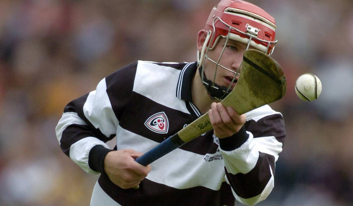 GALLERY: Pictures from stellar career of Kilkenny legend Richie Hogan ...