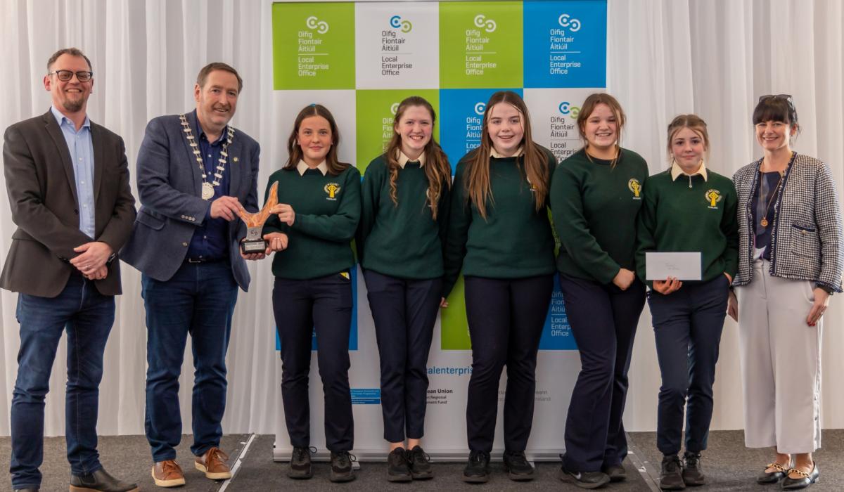 PICTURE SPECIAL: Enterprising Offaly students showcase their talents at ...