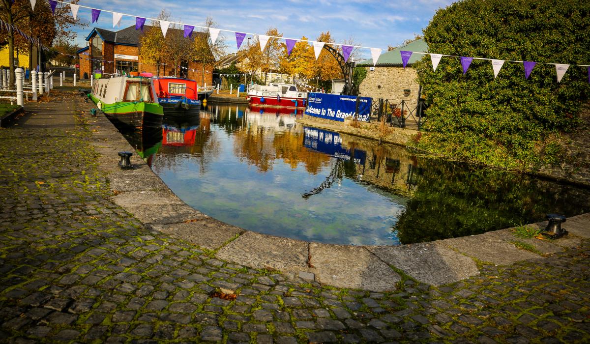 Community garden call for Naas, Kildare - Ireland Live