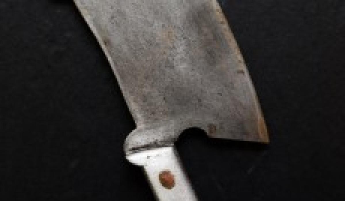 Laois resident had meat cleaver buried in his back during workplace row ...