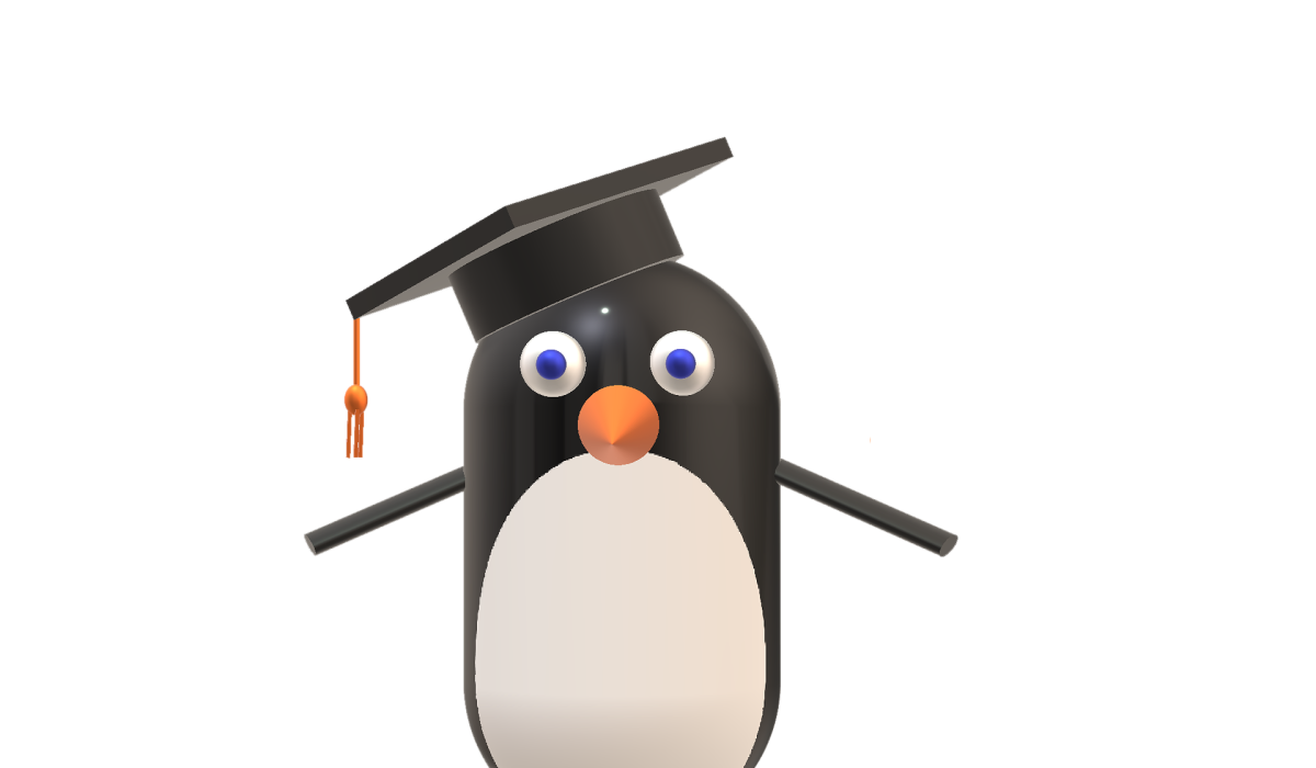 Freezing classrooms more suited to penguins than pupils - Laois Offaly ...