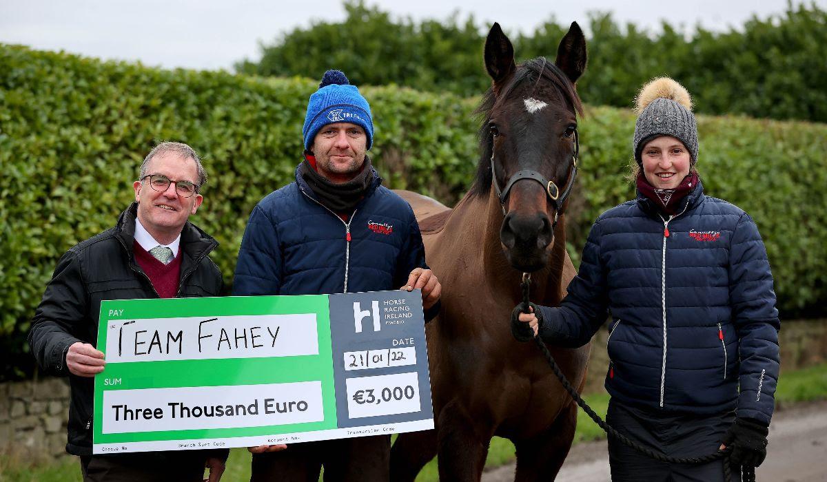 Stable staff from Laois Horse trainer yard wins best in class award ...