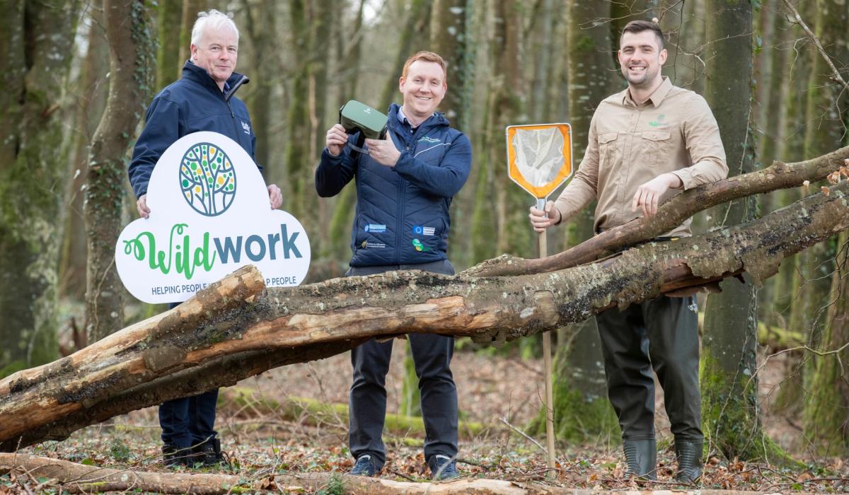 Wild Work initiative comes to Cavan - Ireland Live