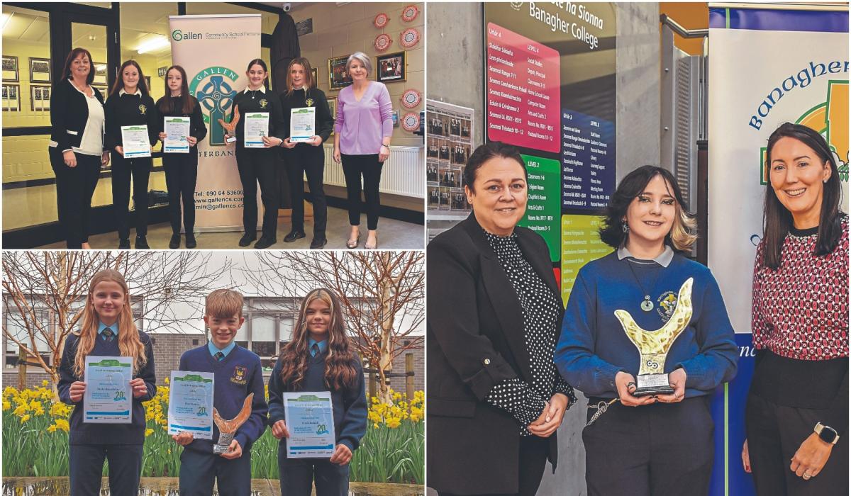 PICTURE SPECIAL: Offaly students celebrate success at County Finals of ...