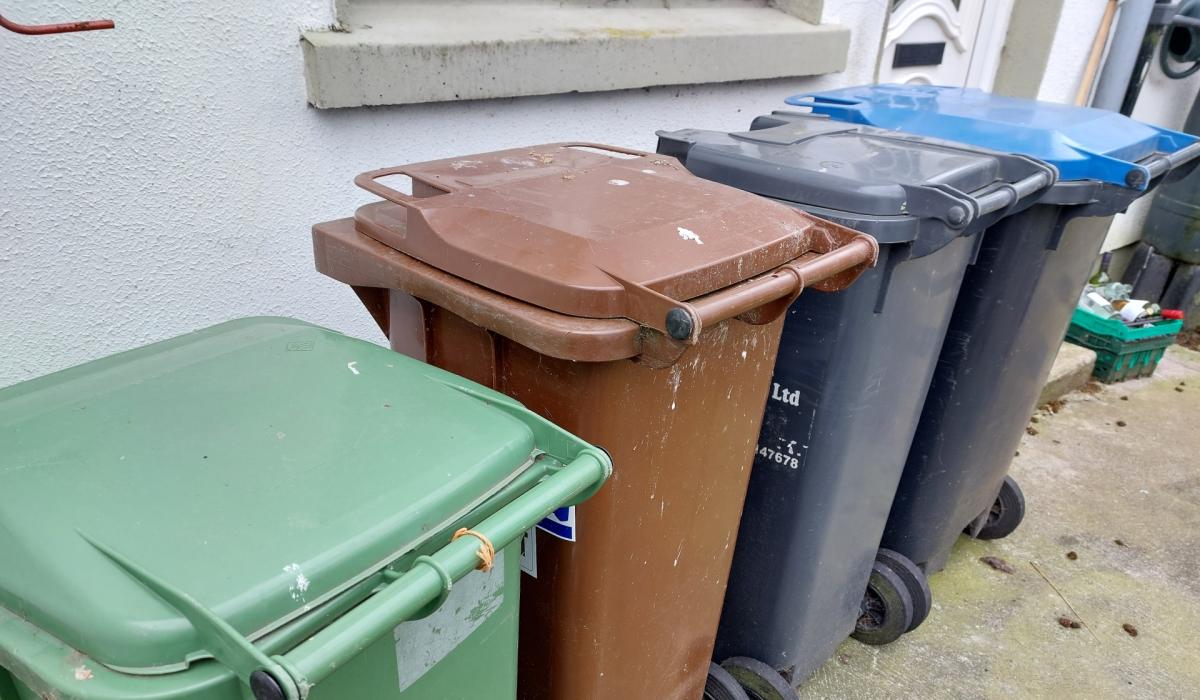 Call for return of Laois council bin collections to curb dumping ...