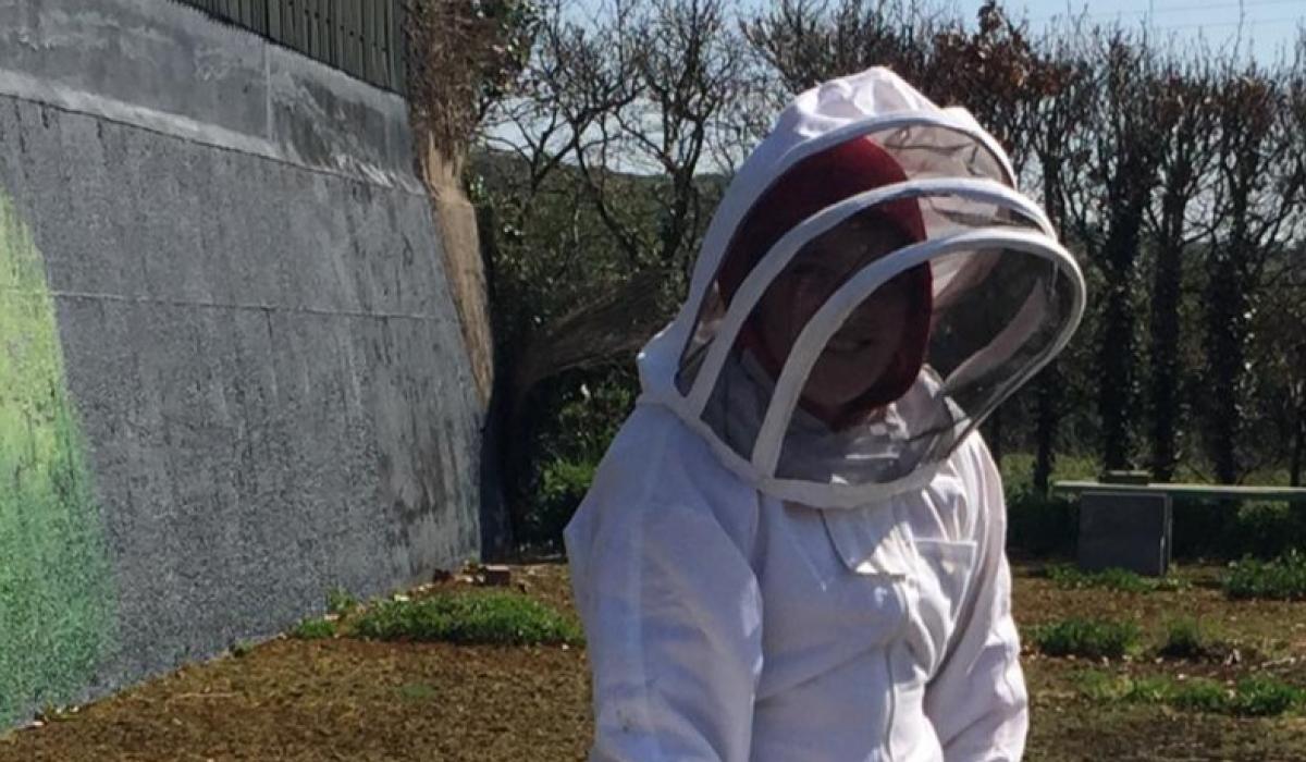 Hive of industry: Limerick's youngest beekeeper celebrates World Bee ...