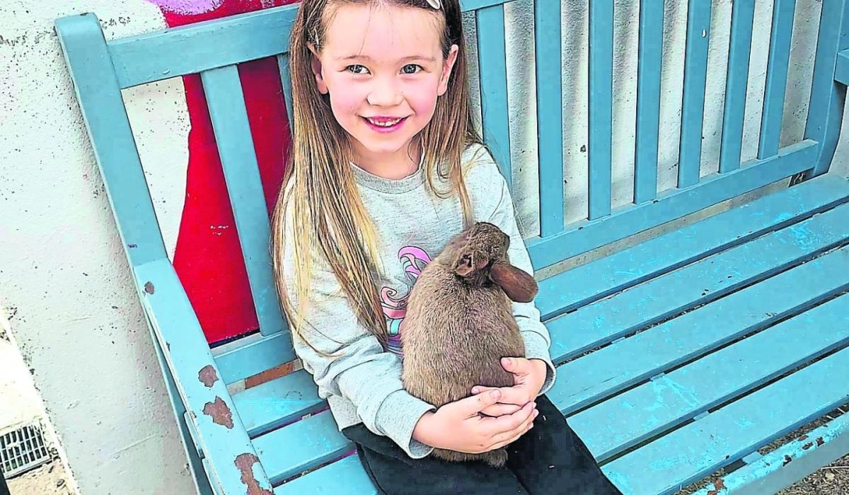 Eimear Bradish's ‘Big Chop’ for Little Blue Heroes in Templemore ...