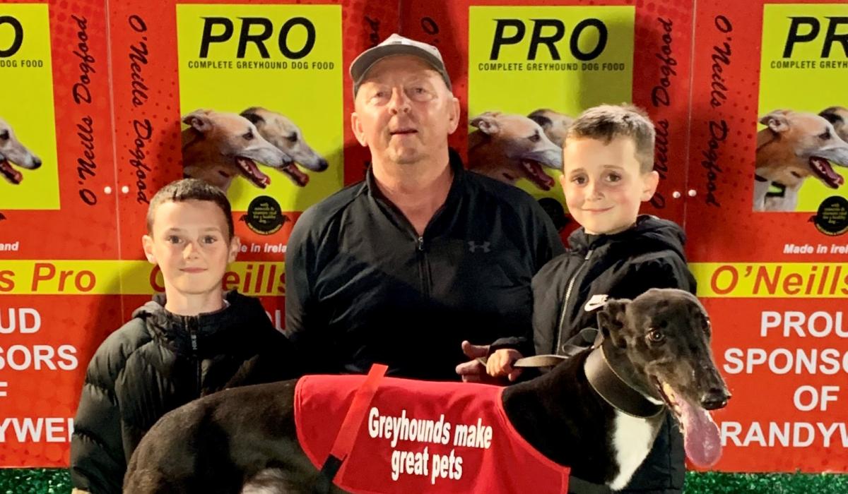 Derry Greyhounds: Bella and Syd land a terrific double for Georgina ...