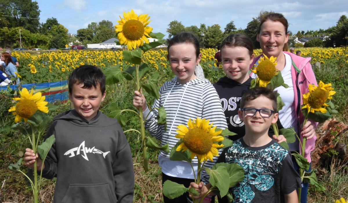 IN PICTURES: 'Field of Hope' tribute in memory of the Mullan family ...