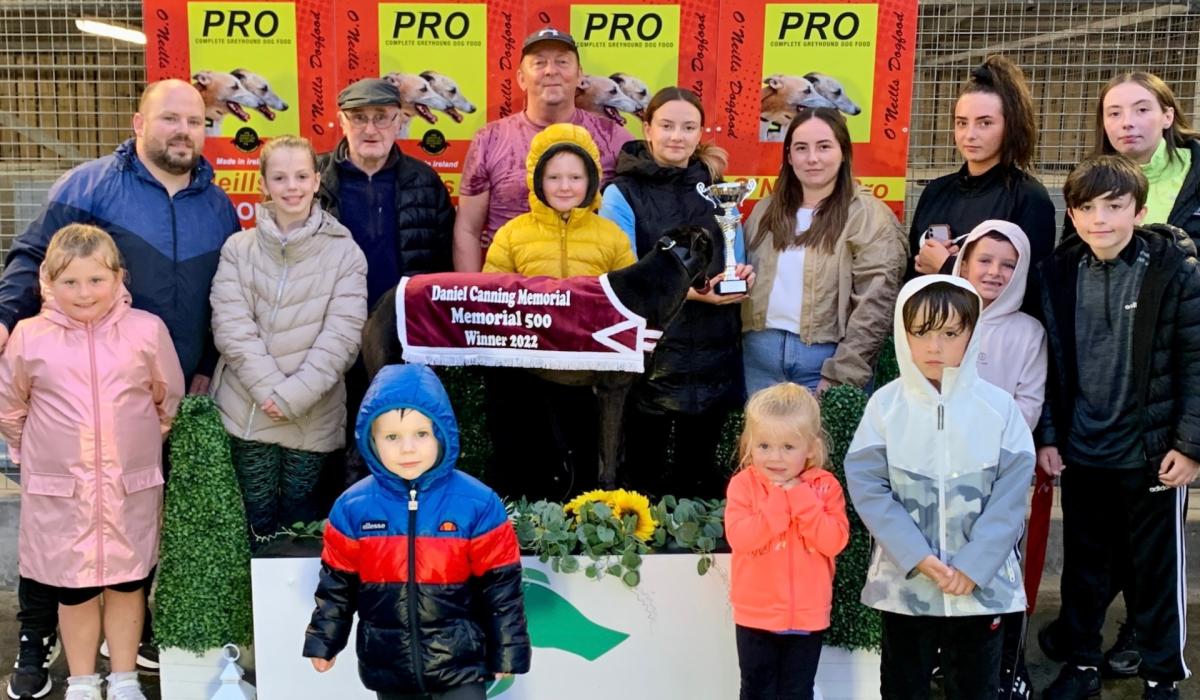 Derry Greyhounds: Georgina’s beautiful Bella lands the Daniel Canning ...