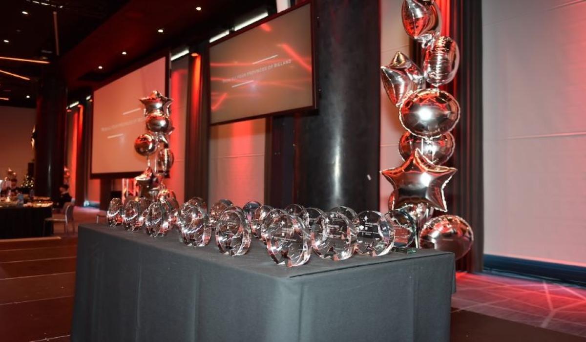 Search for Leading Lights in Road Safety underway in Limerick as awards ...