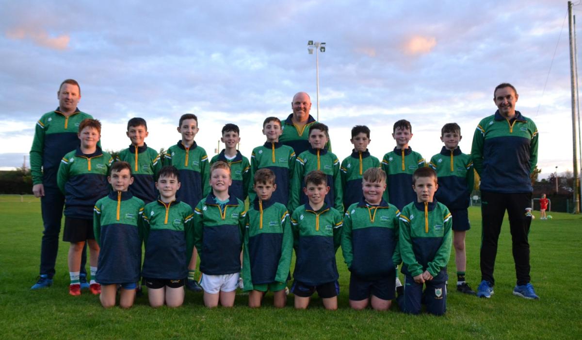 Shinrone/Coolderry Community Game hurling team to represent Offaly in ...