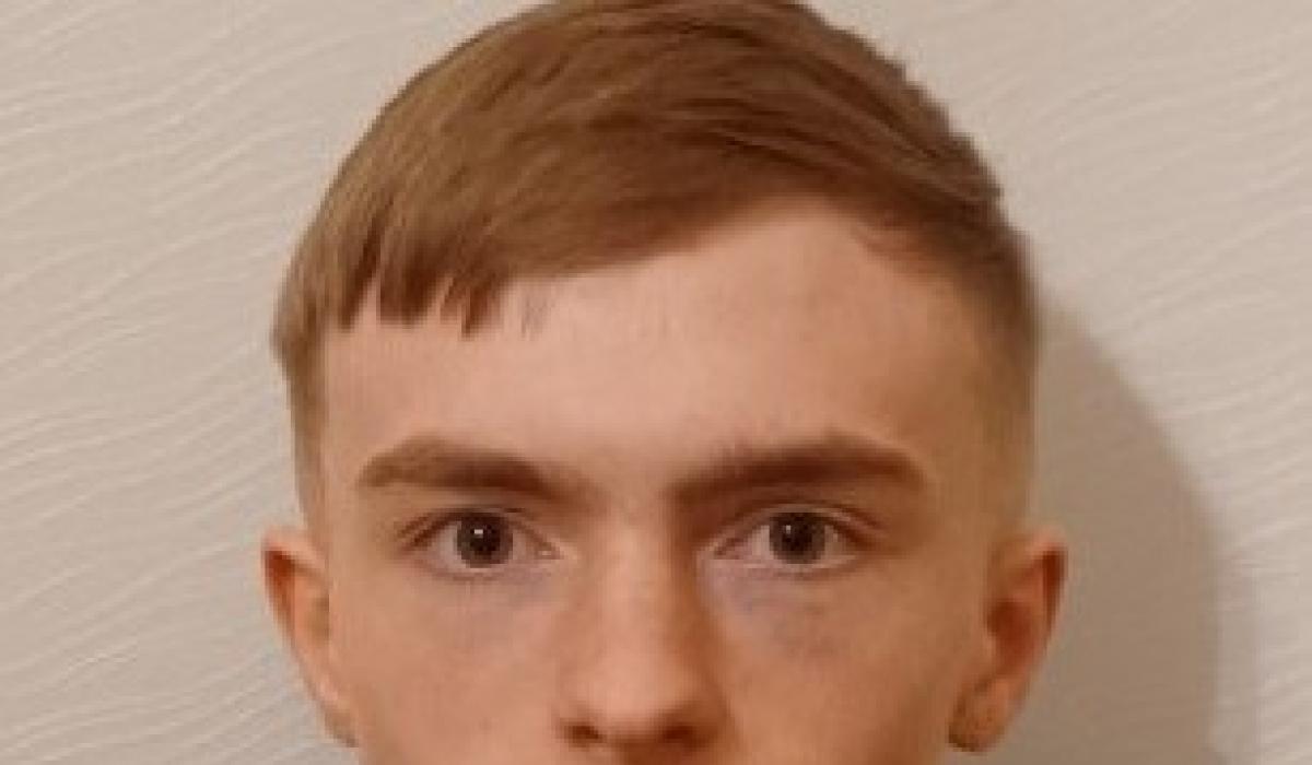 Midlands Gardai renew appeal on teen missing a month - Ireland Live
