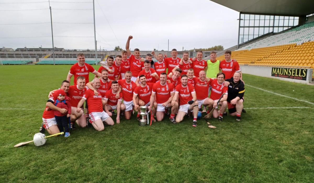Impressive Edenderry claim junior hurling honours - Ireland Live