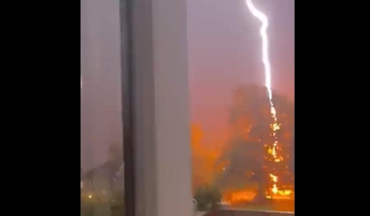 PHOTOS: Lightning bolt hits tree in Kildare as people say thunder storm ...