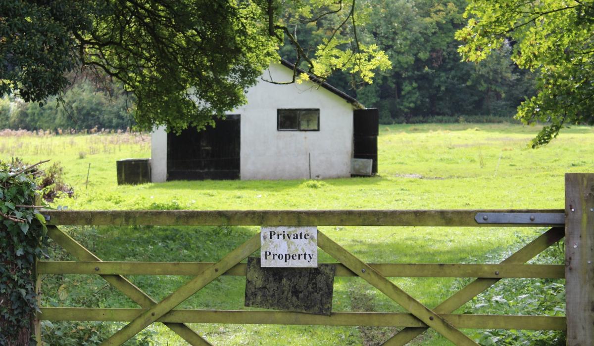 Limerick farmers to meet over rise in trespassing incidents - Ireland Live