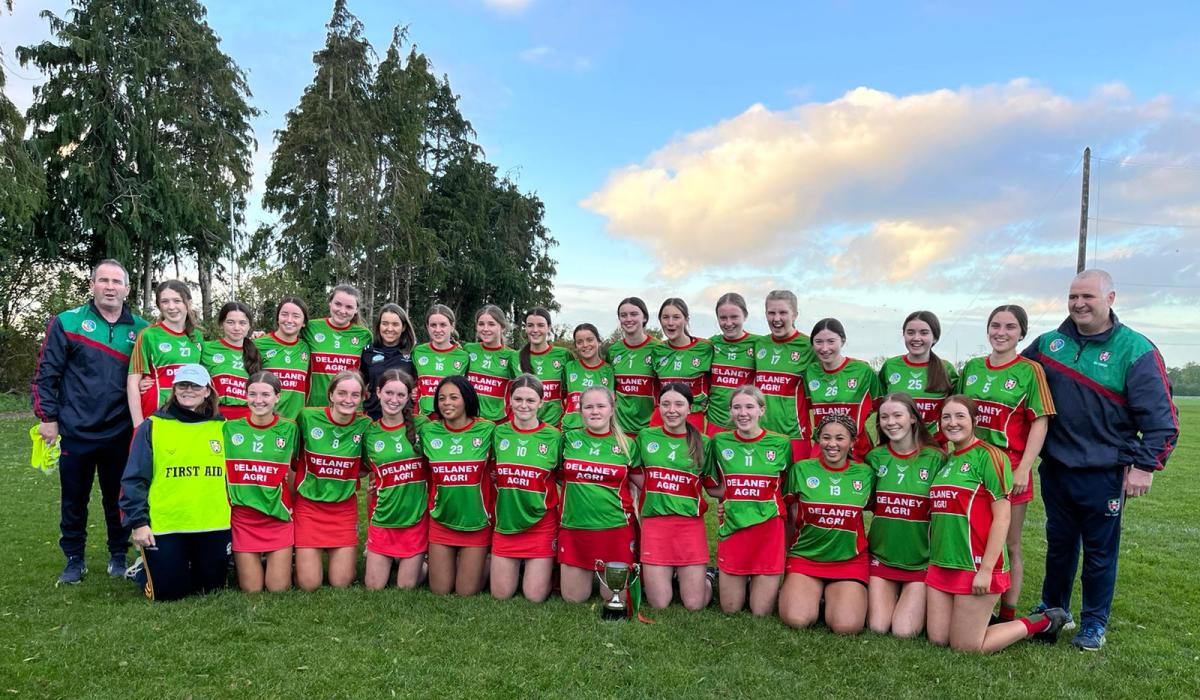 Birr Camogie Club celebrate another title success in a great year for ...