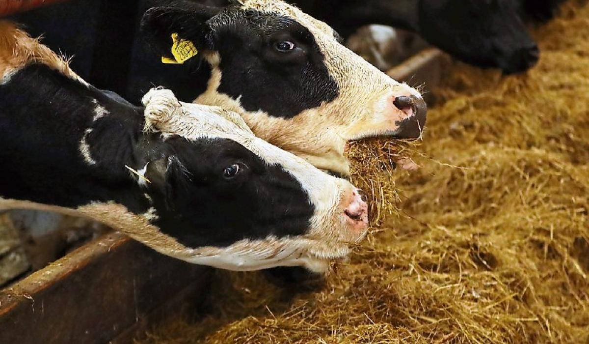 Carlow farmers advised to examine their farm business structure ...