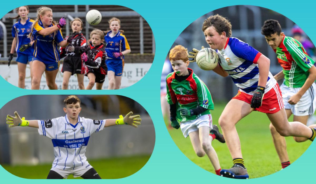 IN PICTURES: Fantastic Laois boys and girls shine in schools Gaelic ...