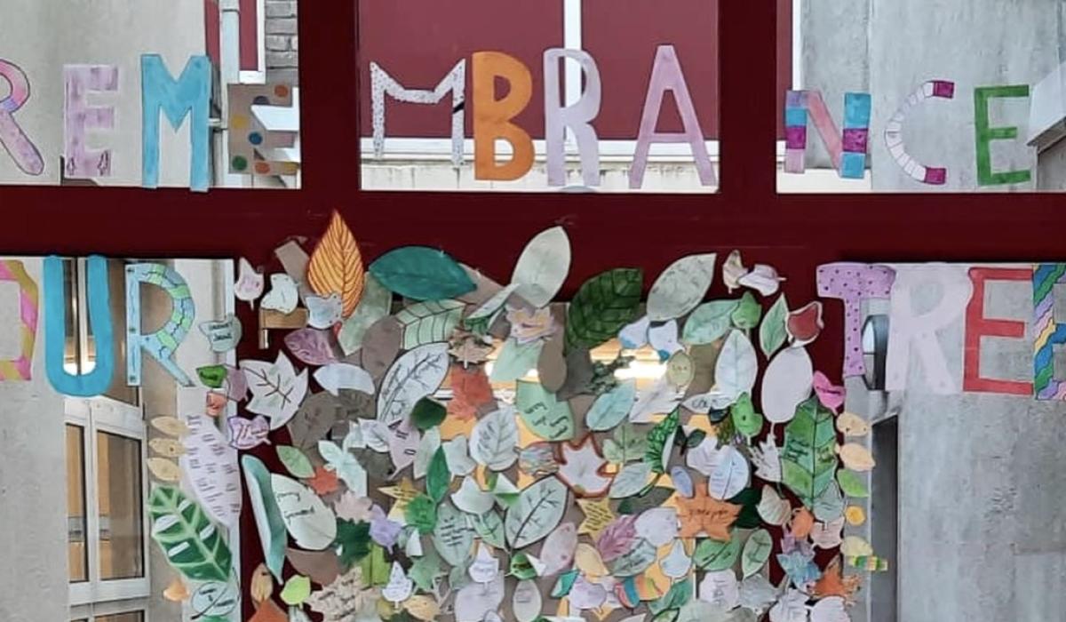 Presentation Thurles students create a beautiful November Tree of ...