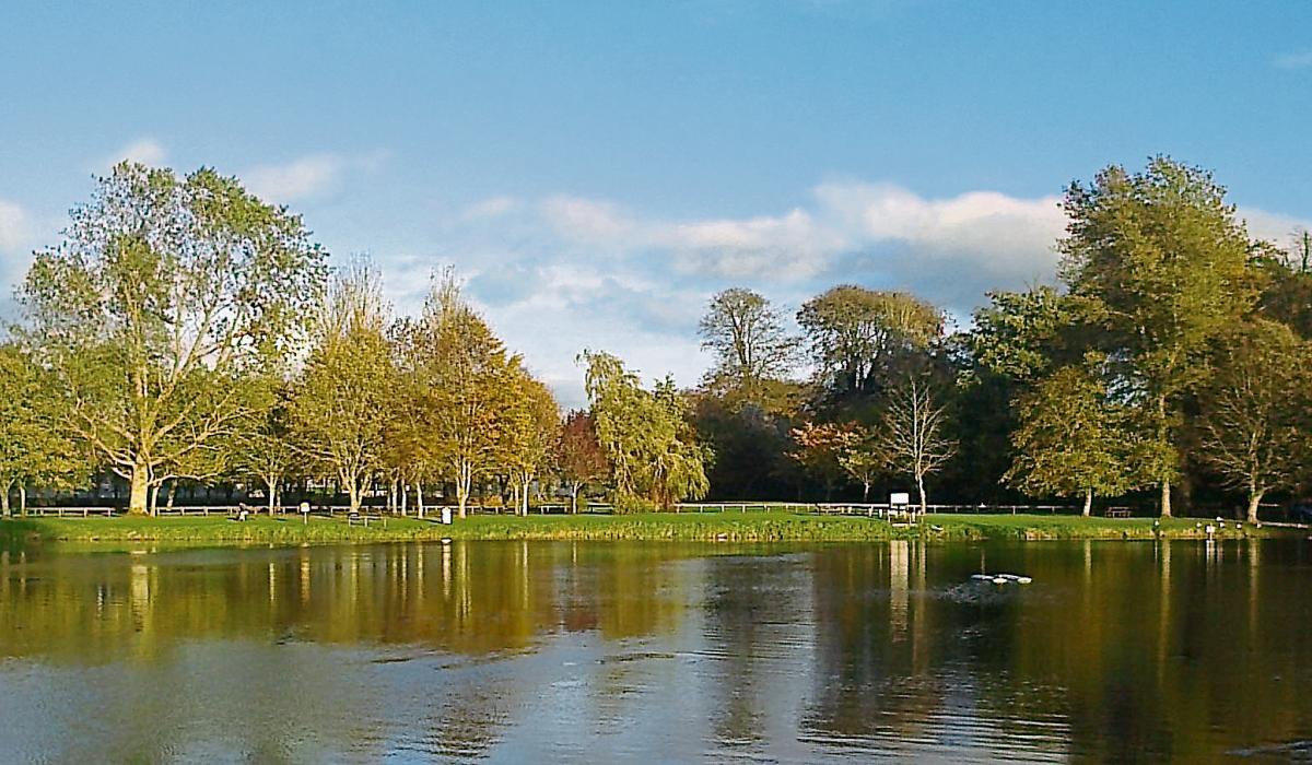 Section of path in Templemore Park is temporarily closed due to flood ...