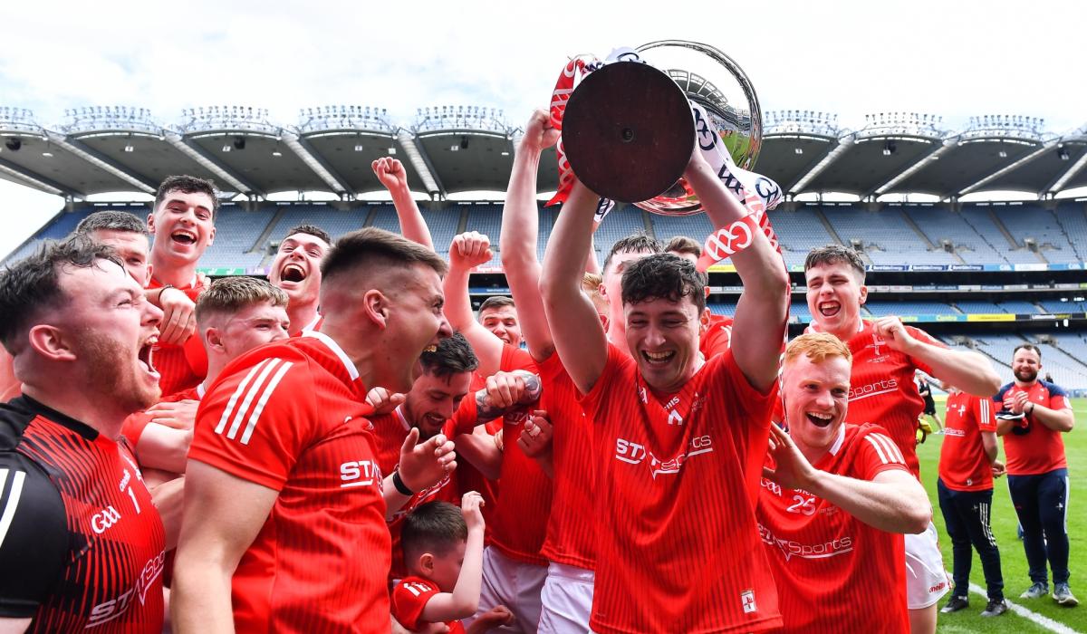Louth GAA Year in Review: Mixed season ends on a high note for county ...