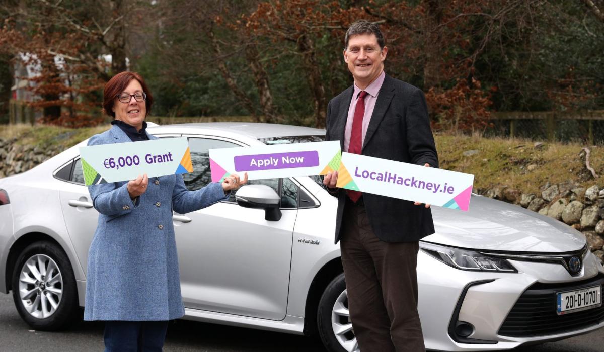 Limerick town included in national hackney pilot scheme - Ireland Live