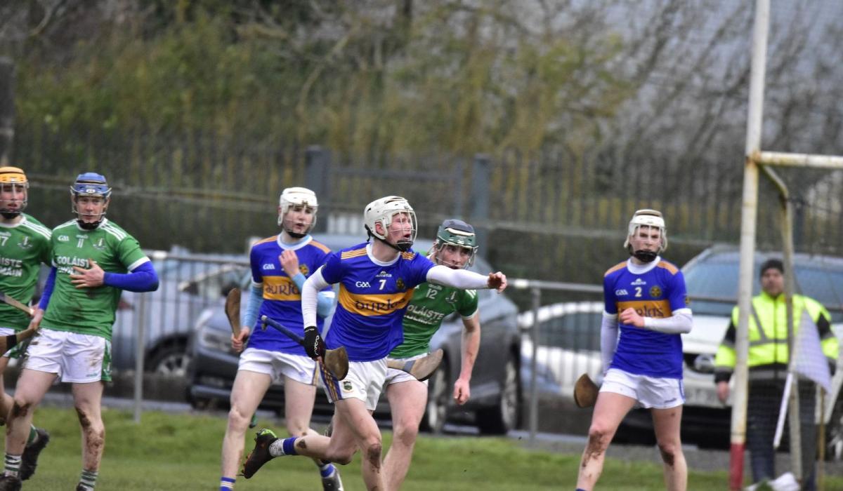 TUS Dr Harty Cup: Thurles CBS snatch dramatic late winner against St ...