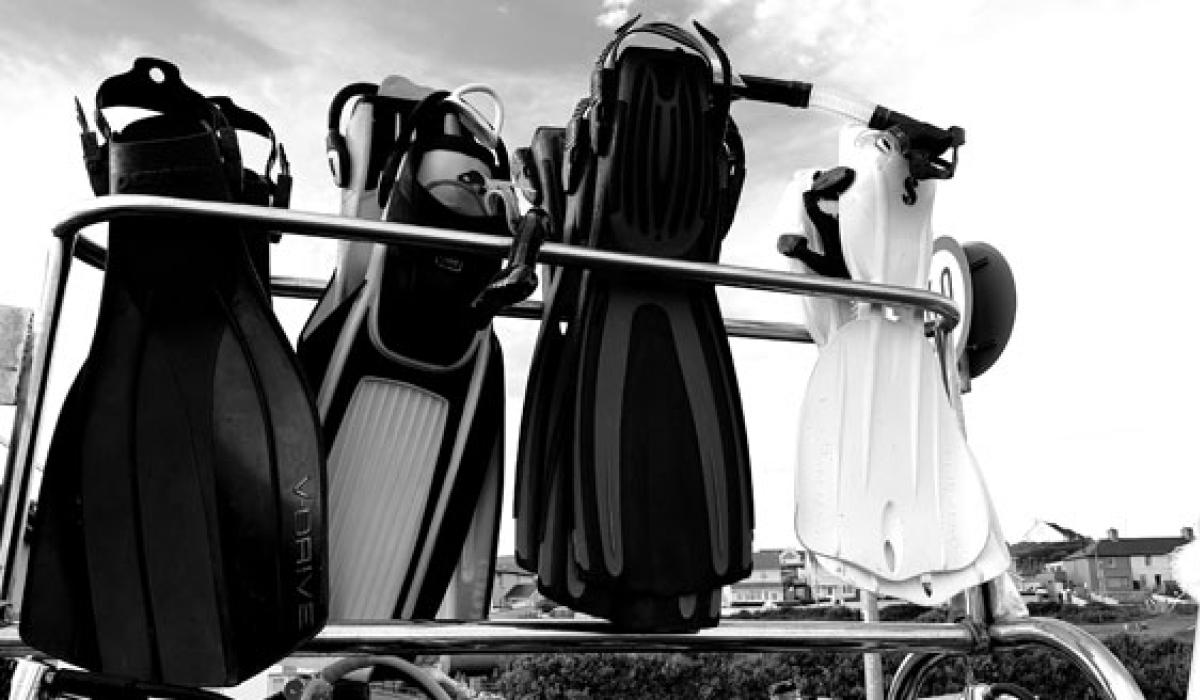 Unique exhibition on consciousness launched in Clare Museum - Ireland Live