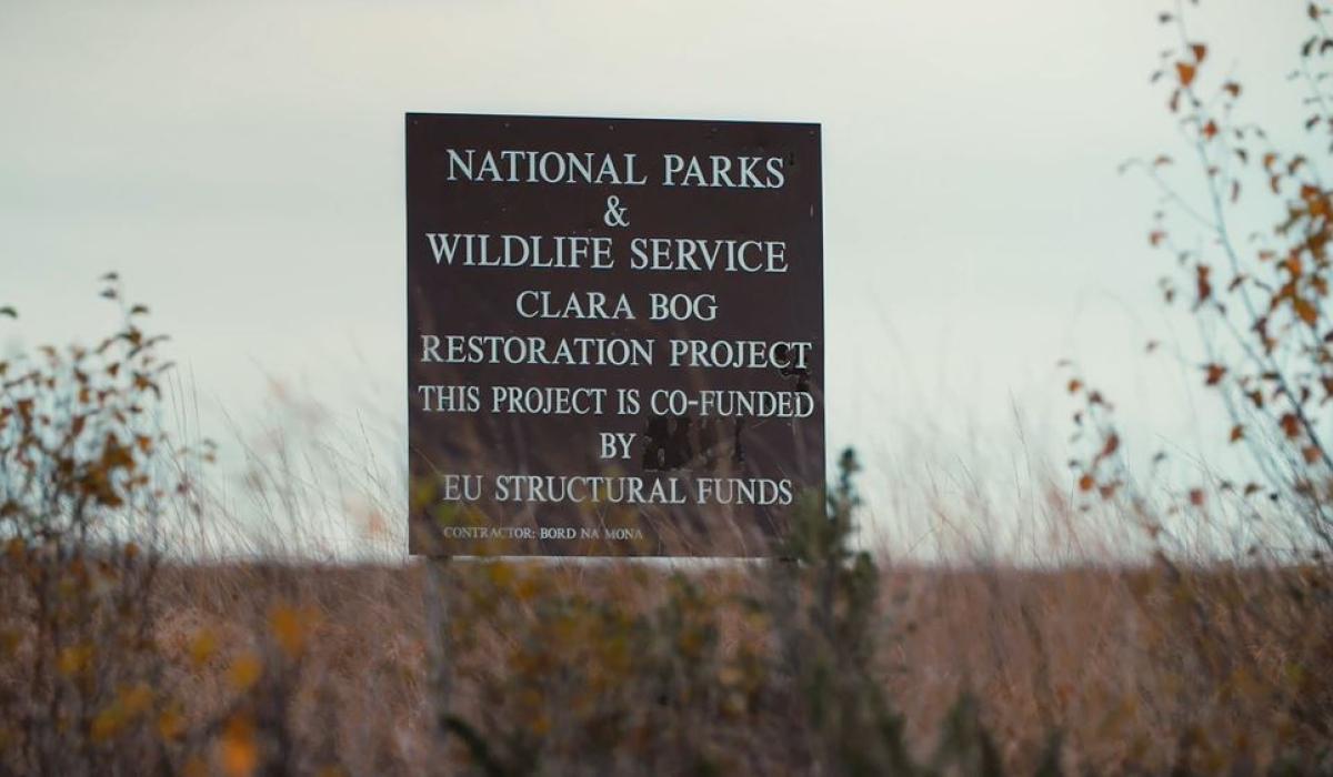 WATCH: Beautiful video of Offaly bog published for World Wetlands Day ...