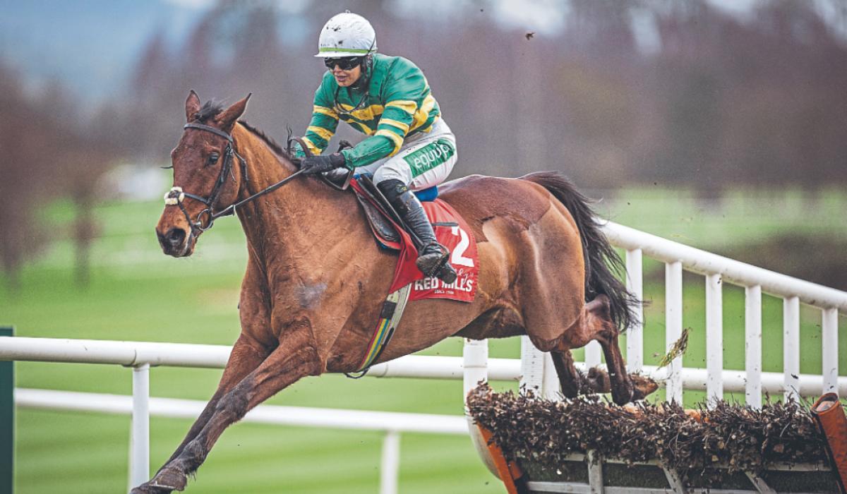 Kildare Racing News: JP and Luke Dempsey on the mark - Ireland Live