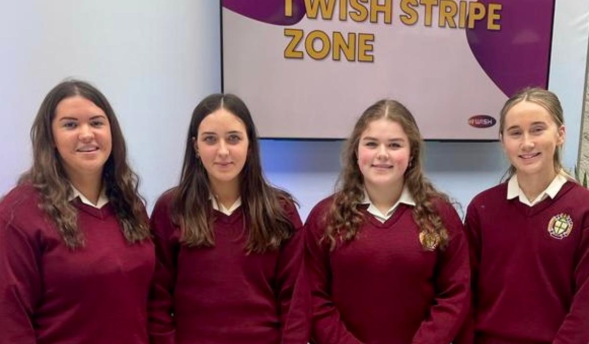 Presentation Thurles entrepreneurs pitch their ideas at the RDS in ...