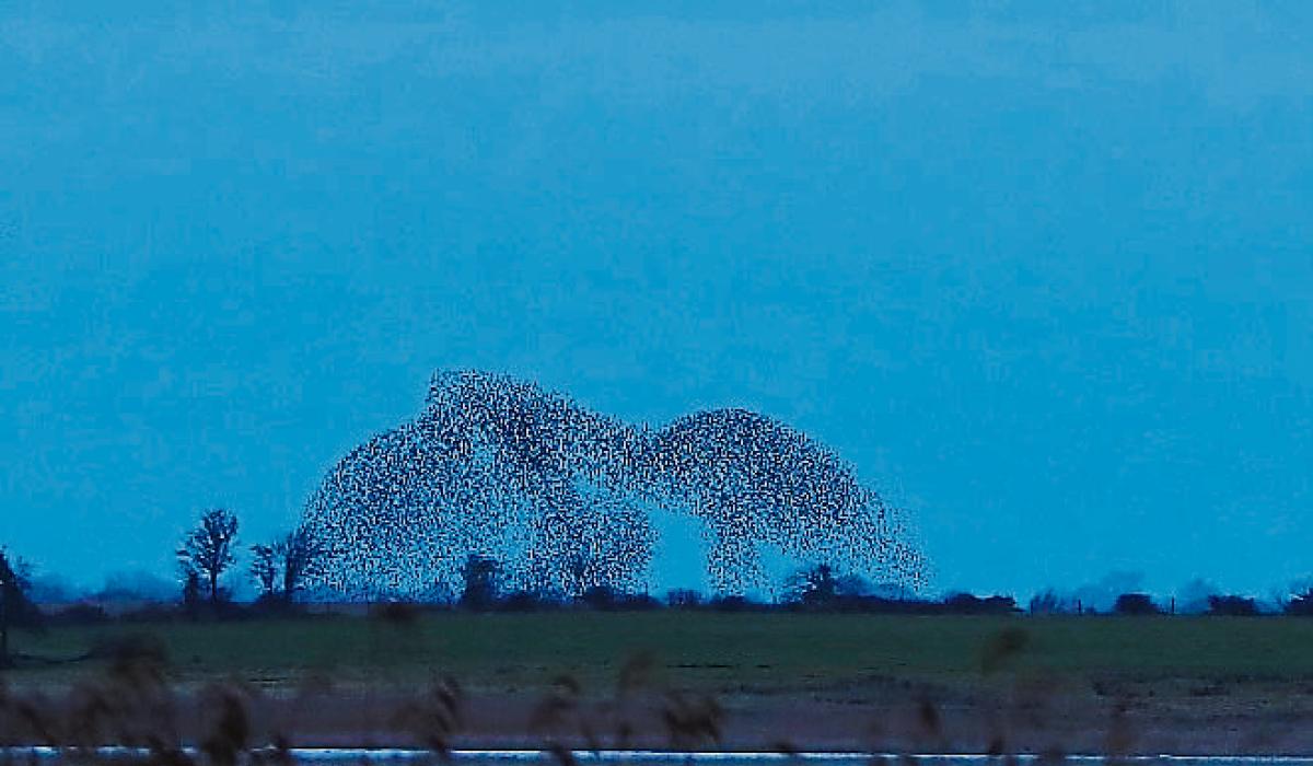 Tullamore photographer captures picture of absolutely spectacular ...