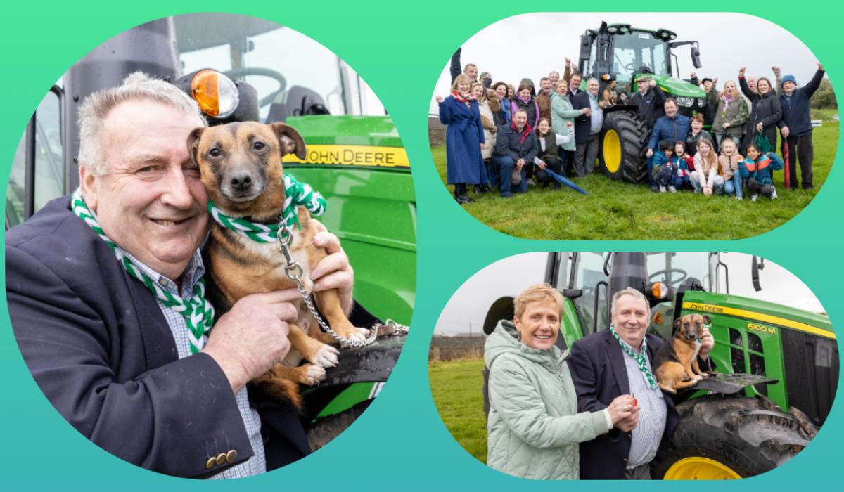 In Pictures: Even the Limerick dogs are winners - Laois community gives ...