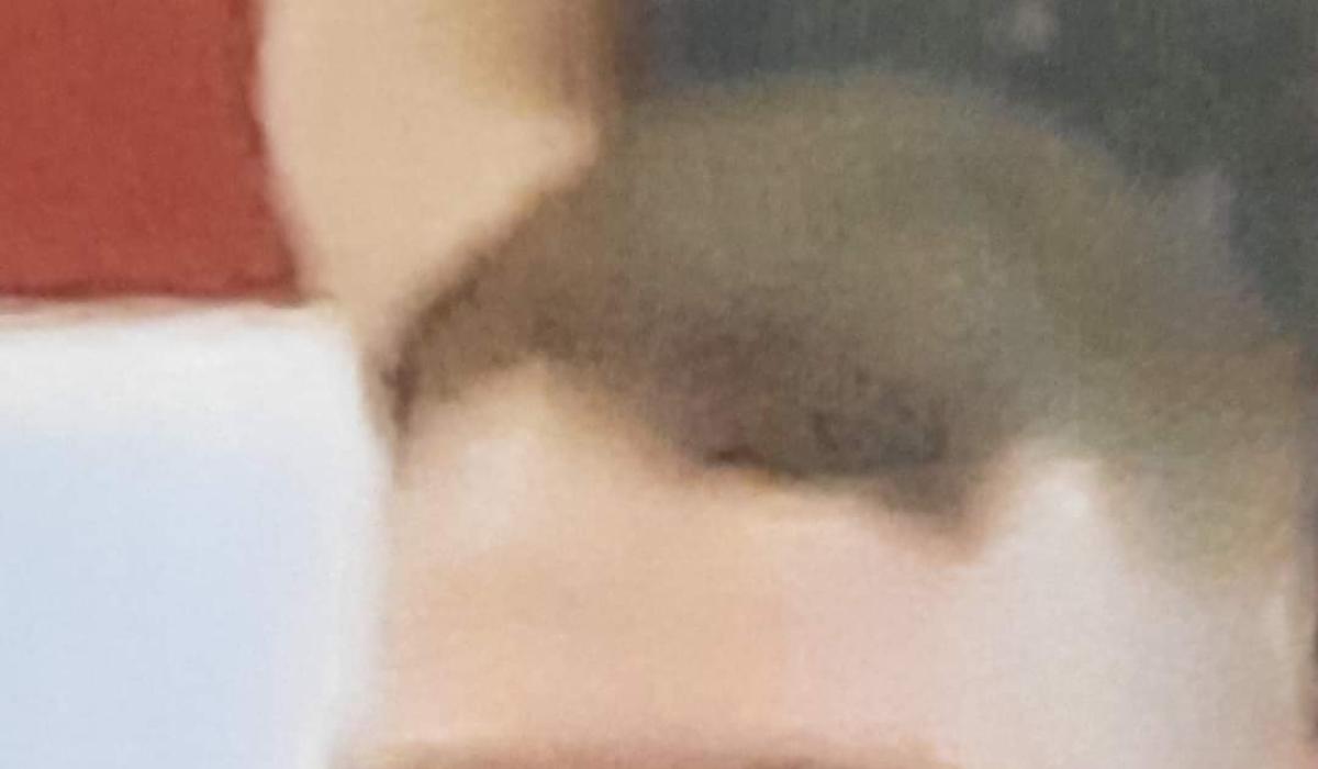 Police issue appeal for missing Derry man (25) - Ireland Live