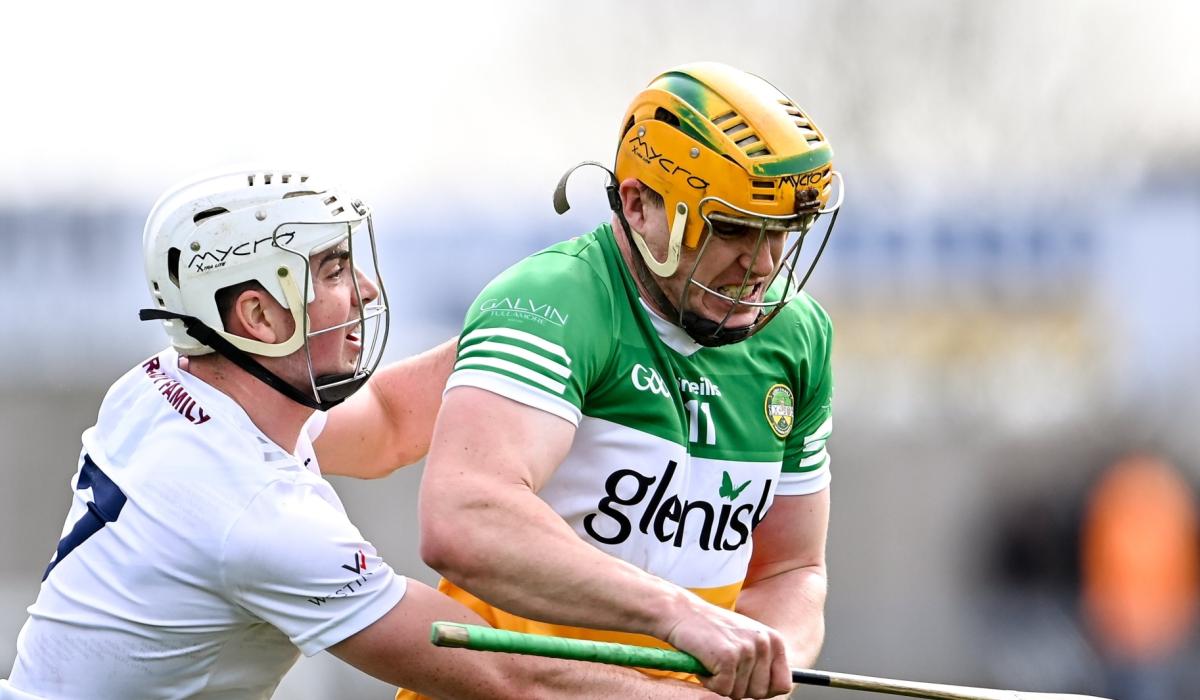 Kiely delighted to be putting his shoulder to the Offaly hurling wheel ...