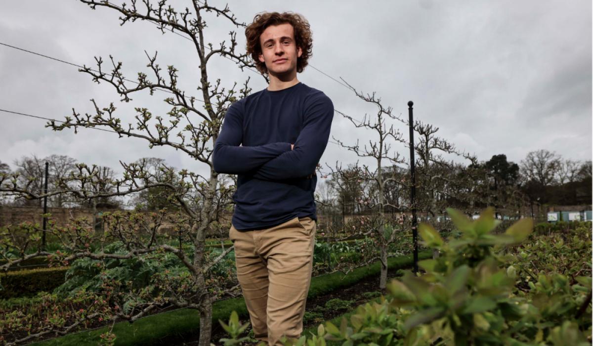 Kildare garden designer Joseph Eustace announced as winner of Bord Bia ...