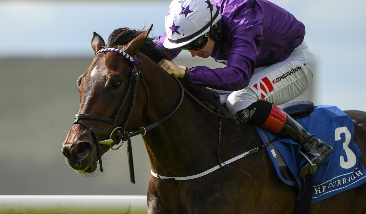 Colin Keane records valuable double for punters at Dundalk Stadium ...