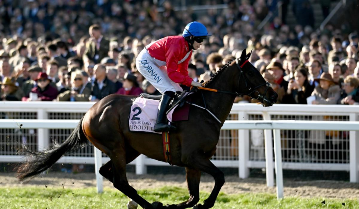 De Bromhead-trained A Plus Tard included in contenders for Aintree Bowl ...