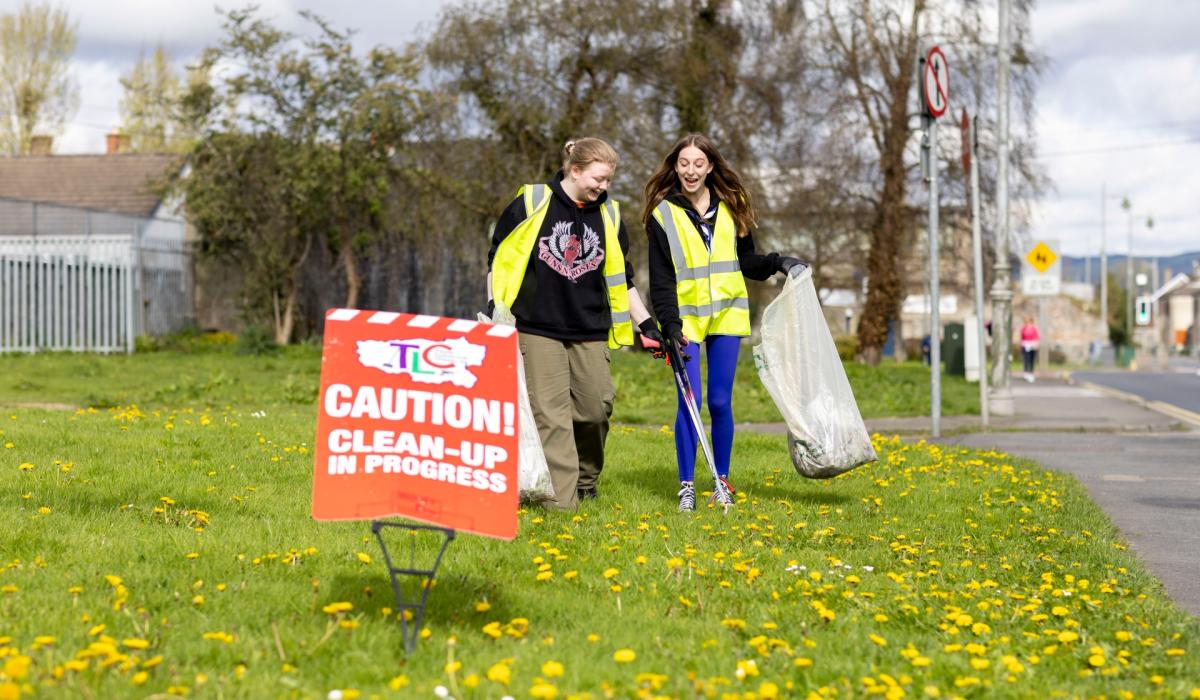 In Pictures: Out and about during Team Limerick Clean-up 8 - Page 1 of ...