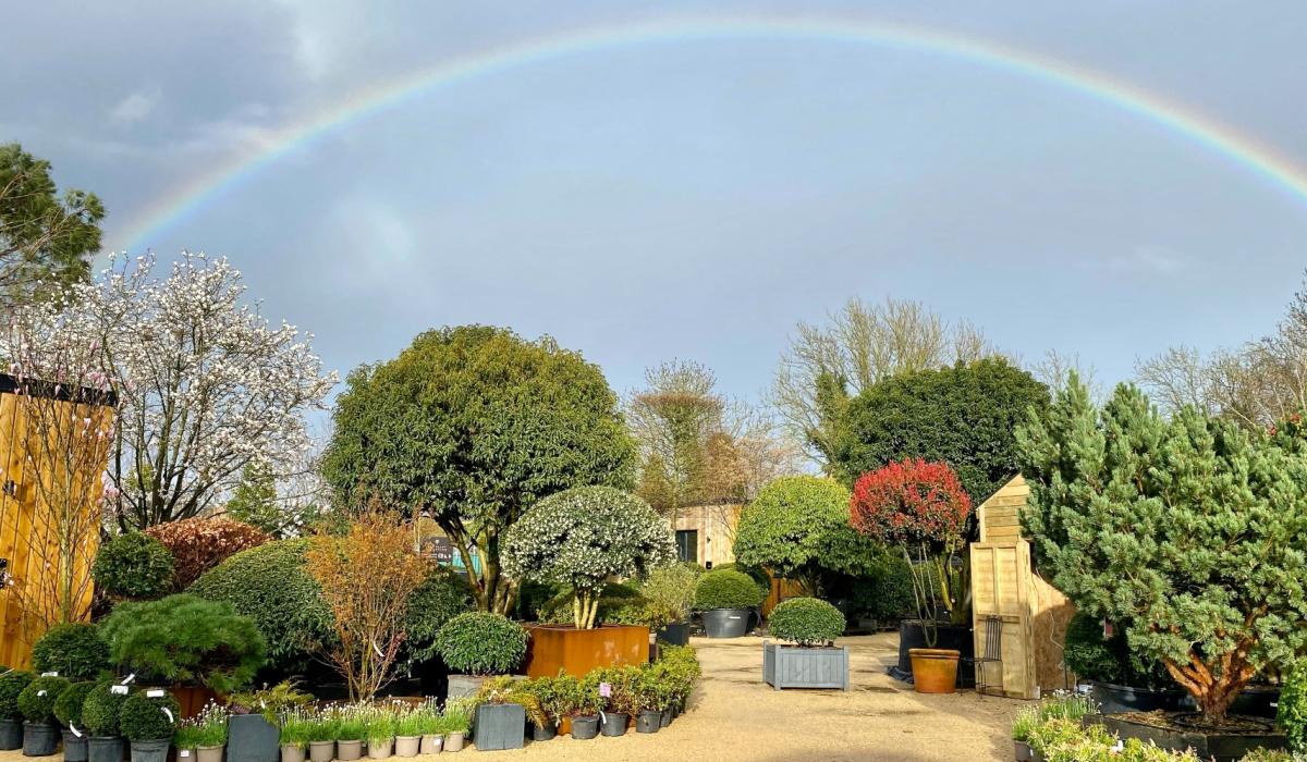 Ireland’s first new plant production nursery in 20 years opens in ...