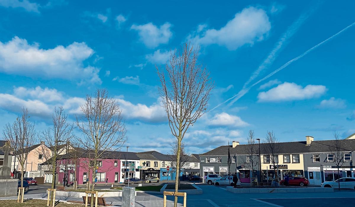 Longford in top three for Best Kept Large Town accolade - Ireland Live